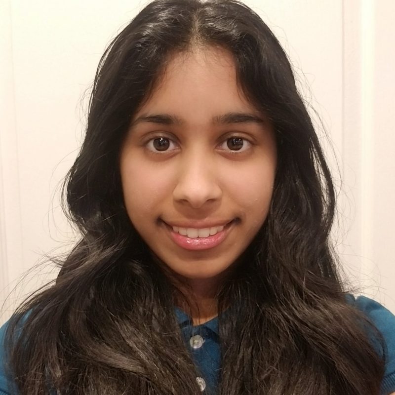 Discover Math Kangaroo with Our Amazing Instructors